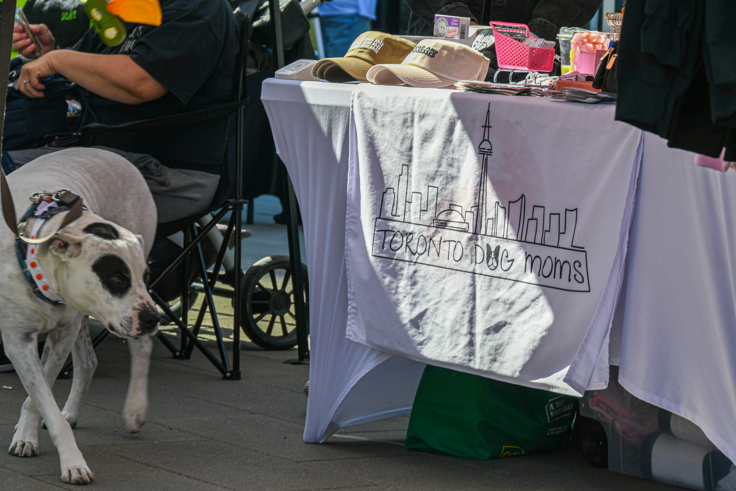 Riverside Dog Lovers’ Market 2024: What’s Happening on September 15th ...