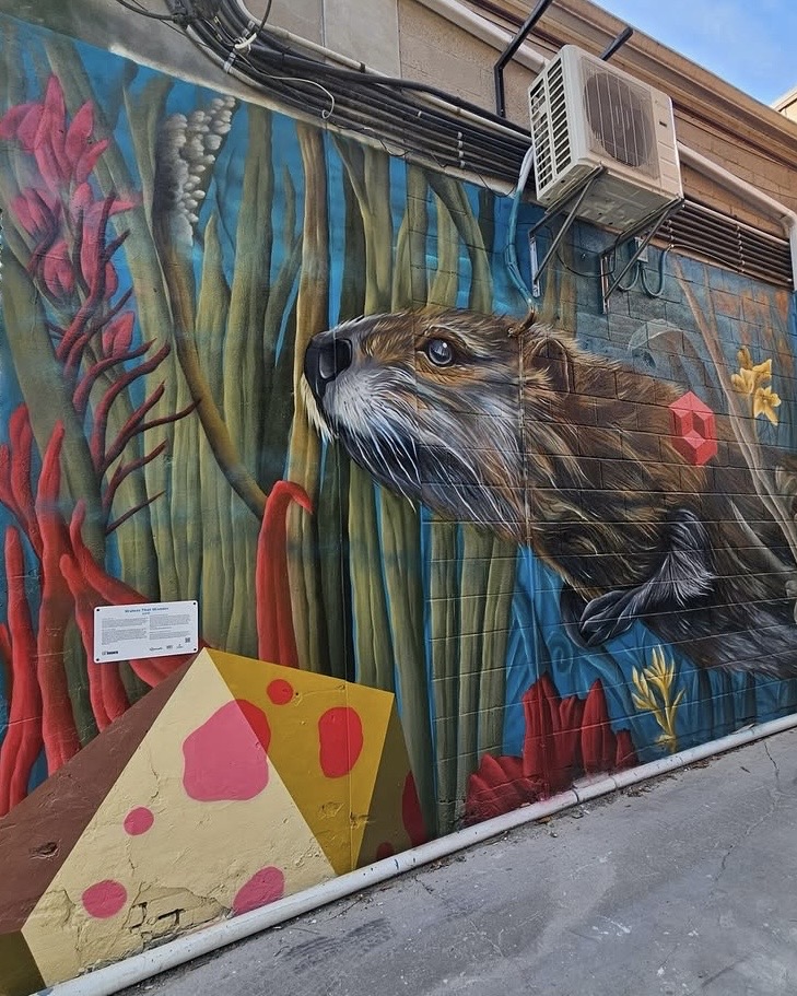 The Cold Never Bothered Me Anyway: 5 Fun Activities To Do in Toronto’s ...